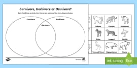 FREE! - Sorting Carnivores, Herbivores, and Omnivores KS1 Worksheet