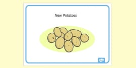 FREE! - Potato Poster | Root Vegetable | Display Poster | Twinkl