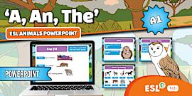 ESL Articles: A/An/The Lesson Pack