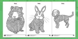 Dog Mindfulness Colouring Sheets for Early Years - Twinkl