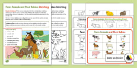Farm Animal Alphabet Matching Cards - Early Childhood - USA