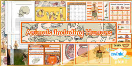 Science: Animals Including Humans Year 5 Unit Pack