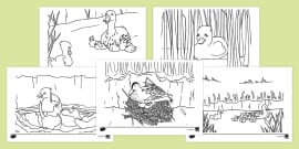 EYFS Draw a Duckling Pencil Control Activity (teacher made)