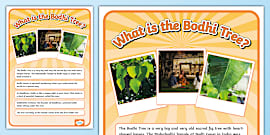KS1 Bodhi Day Display Poster