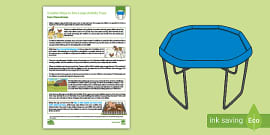 EYFS Farm Activity Planning/Continuous Provision (Reception)