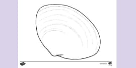 FREE! - Auger shell | Colouring Sheets (teacher made)