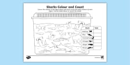Feed the Shark Worksheet / Worksheet (teacher made) - Twinkl