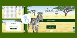 What is a Zebra? | Zebra Habitat and Facts | Twinkl Teaching Wiki