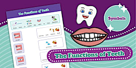 KS2 Teeth Fact File - Twinkl