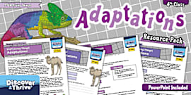 Adaptations Powerpoint 4th Class