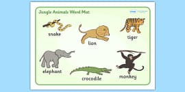 Jungle Animal Themed Display Posters - walking through the jungle, animals