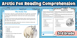 Third Grade Polar Bears Reading Passage Comprehension