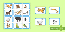 Animal Tails Matching Cards Game - Twinkl Games and Activities
