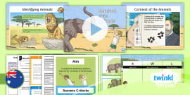 Animal Movements PE Lesson - Year 4 PE Resources - Twinkl