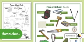 Staying Safe at Forest School Posters (teacher made)
