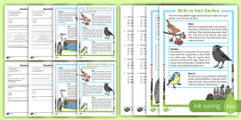 Bird Fact File Worksheets (teacher made)