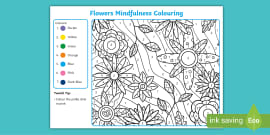 FREE! - Robin Mindfulness Colouring Activity (teacher made)