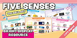 Grade 1 LS - Worksheet: Five Senses Cut and Paste Matching