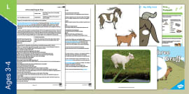Billy Goats Gruff Building Bridges Adult Input Plan | EYFS