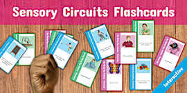 Sensory Circuits Flashcards