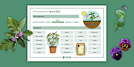 Photosynthesis Vocabulary Word Wall | SEND | Beyond