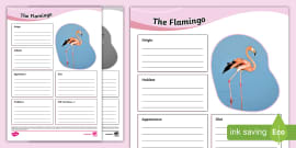 KS1 Flamingo Writing Template (teacher made) - Twinkl