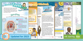 Year 6 English Comprehension Test Pack - Reading Tasks