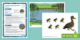Five Little Ducks Sequencing (teacher made) - Twinkl