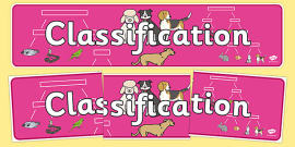 Classification Lowercase Display Lettering