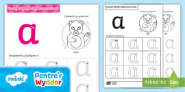 Poster Arddangos Pentre'r Wyddor (teacher made) - Twinkl