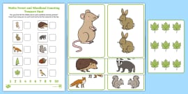Woodland Word Mat | Twinkl Primary Resources (teacher made)