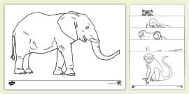 Jungle Art KS1 - Activities - Educational Resources - Twinkl