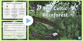 Scotland’s Celtic Rainforest Map | CfE Primary Resources