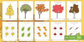 Fall Leaf Sequencing Activity (teacher made)