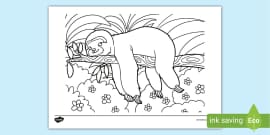 Parts of a Sloth Labelling Worksheet (teacher made) - Twinkl