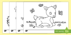 What are Spring Animals ? - Answered - Twinkl teaching Wiki
