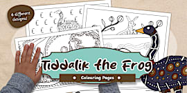 Tiddalik the Frog Activity Pack Aboriginal Dreaming Story