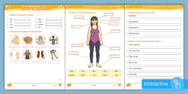 FREE! - ESL Curriculum for Beginners: Lesson 1 Worksheet