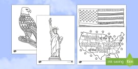 USA Flag Display Poster