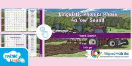 Grade 3 ow, oa, o_e Interactive Phonics Go! Game - Twinkl