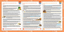 EYFS Ages 2-3 Large Activity Trays:My Emotions |Twinkl