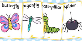 Minibeasts Photo Display Posters (teacher made) - Twinkl