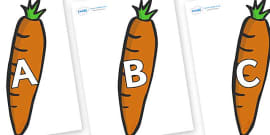 FREE! - Printable Carrot Poster Display | KS1 Primary Resources