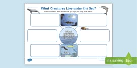 Under the Sea Adjectives Mind Map (teacher made) - Twinkl