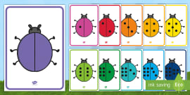FREE! - Ladybird Spots Counting Worksheet - Maths Resource