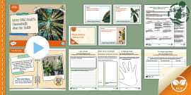 FREE! - Earth's Climate & Cycles | KS1 Taster Pack