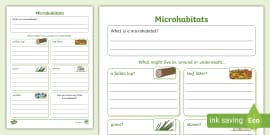 Microhabitats Year 2 Lesson | Science with Twinkl - Twinkl