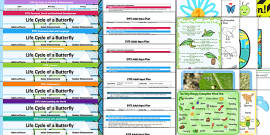 Life Cycle Lesson Plan Ideas (teacher made) - Twinkl