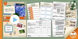 FREE! - Earth's Climate & Cycles | KS1 Taster Pack