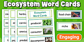 Draw the Ecosystems Activity Pack for K-2nd Grade